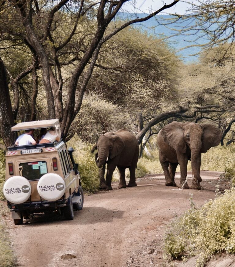 Opplev Tanzania på 11 dager med safari og Zanzibar